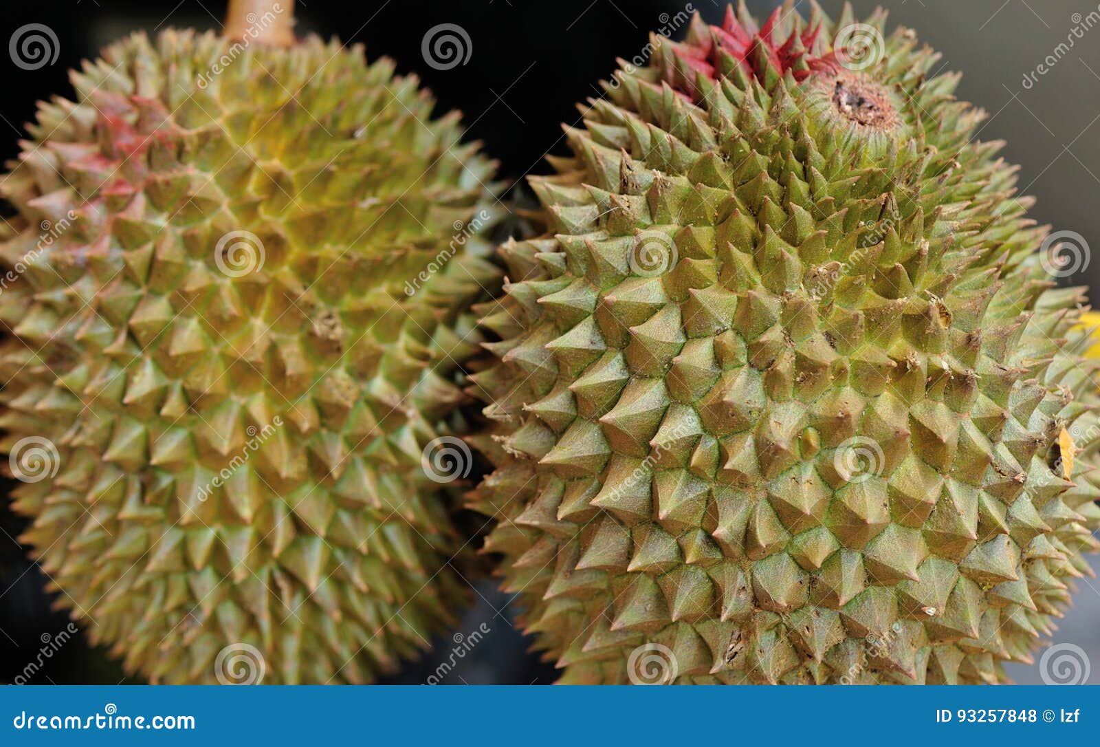 Durain Fruit Display stock photo. Image of asia, durian - 93257848