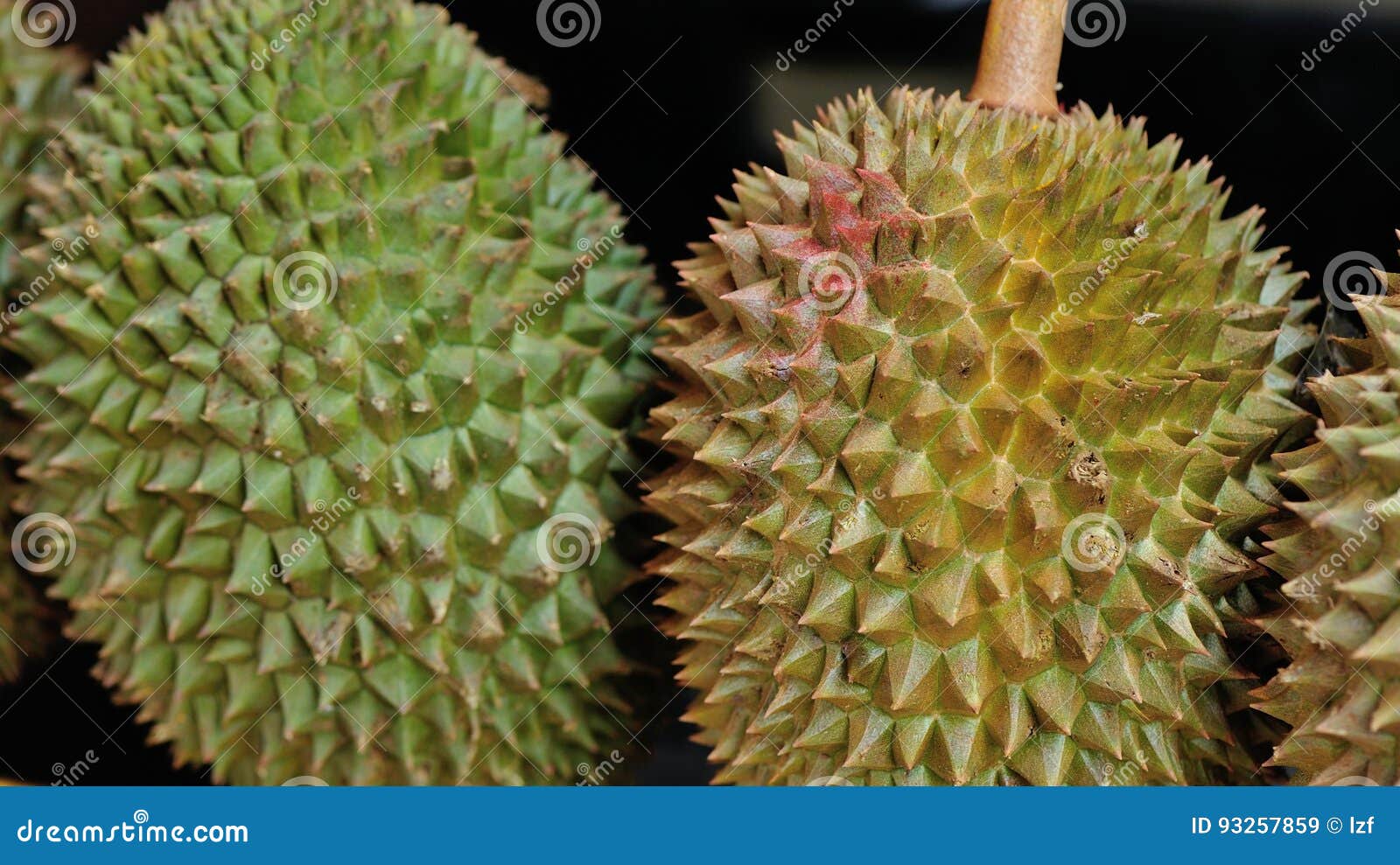Durain Fruit Display stock image. Image of thorncovered - 93257859