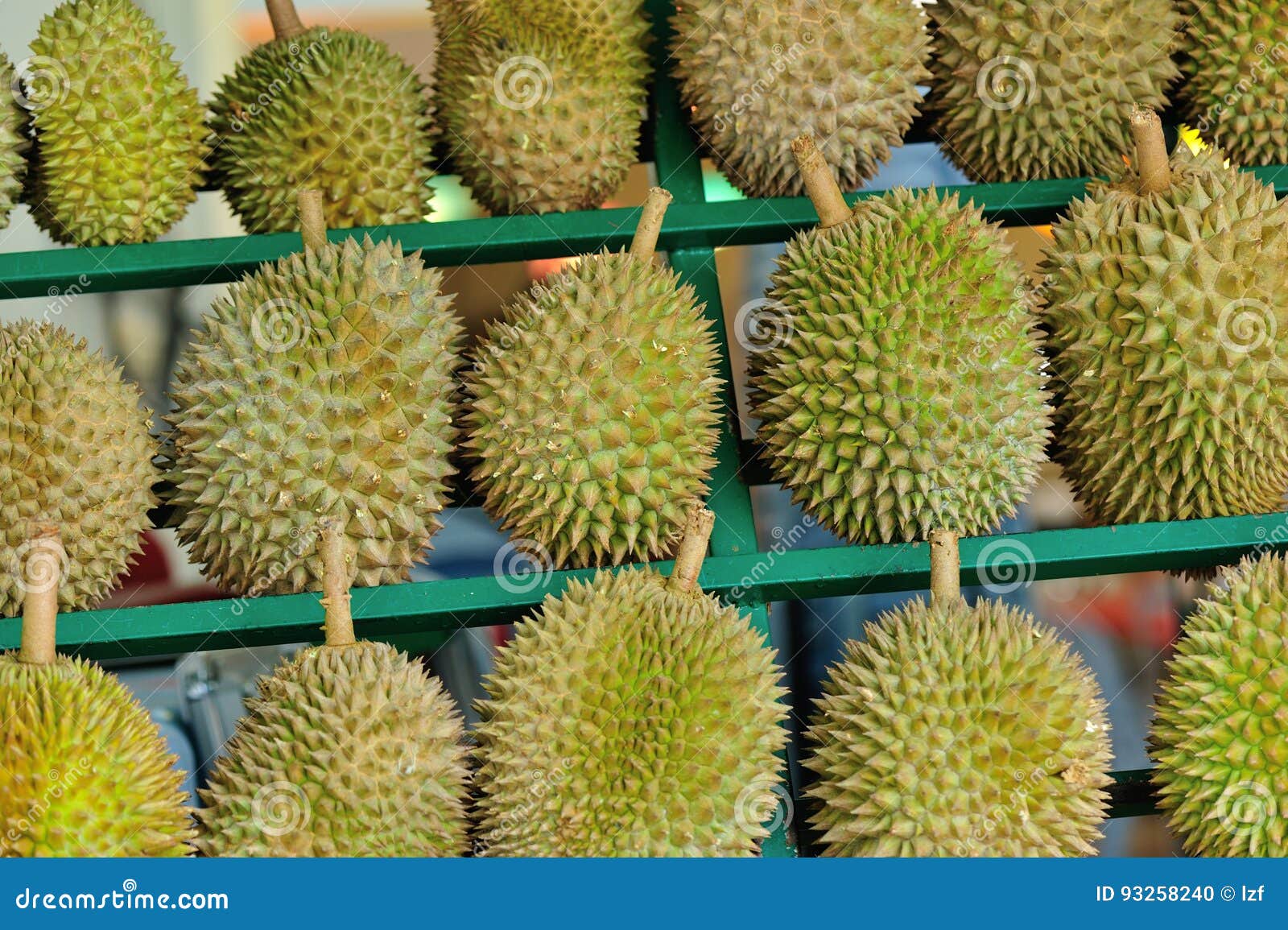 Durain Fruit Display stock photo. Image of thorn, fruit - 93258240