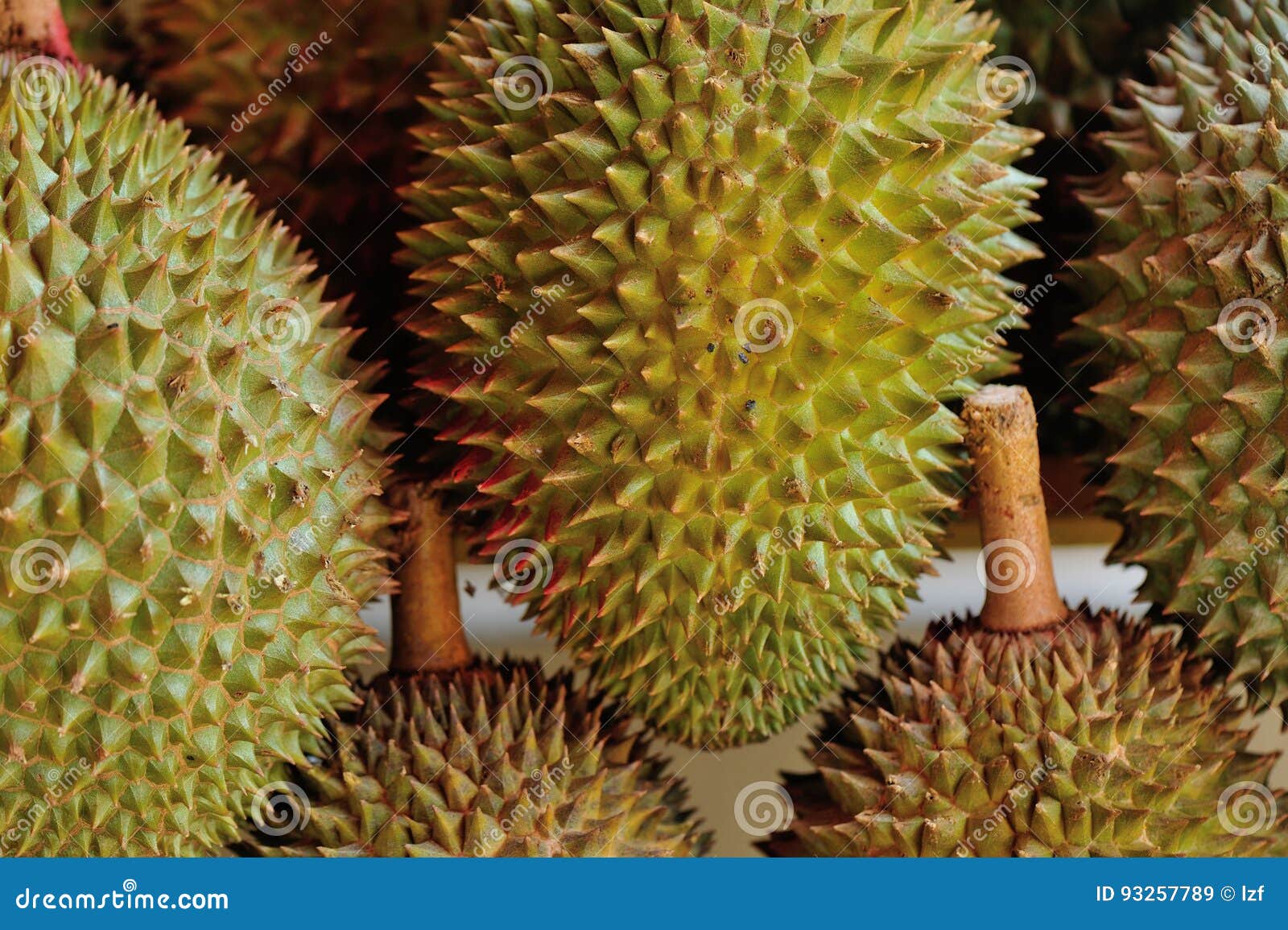 Durain Fruit Display stock image. Image of bench, durian - 93257789