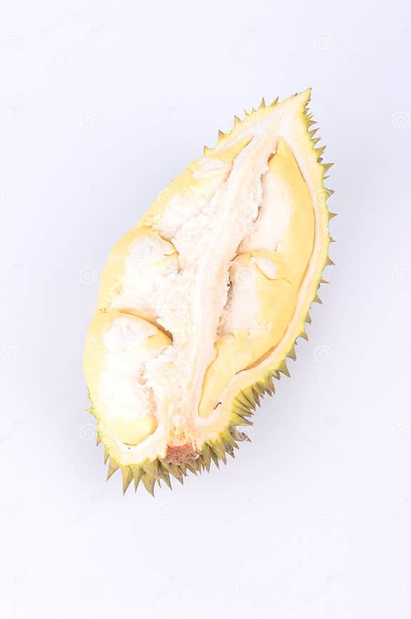 Durain Fruit Isolated on White Stock Photo - Image of nutrition ...