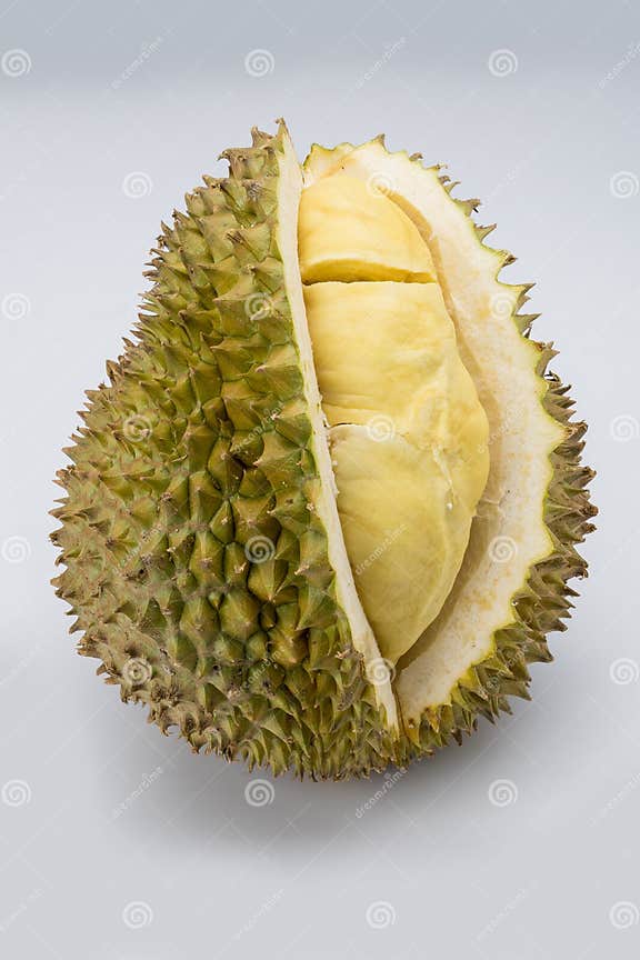 Durain Fruit on White Background Stock Photo - Image of asia, food ...