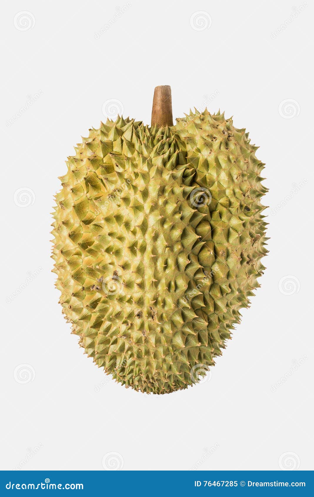 Durain Fruit on White Background Stock Image - Image of thailand ...