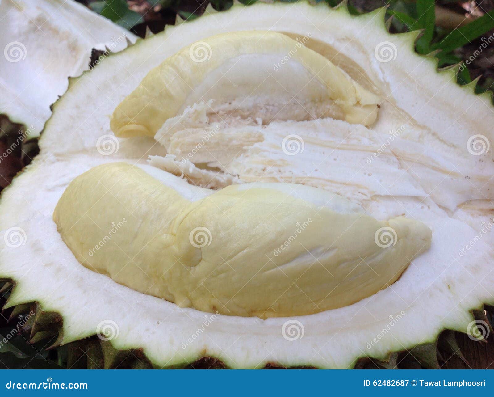 Durain preparado imagen de archivo. Imagen de asia, coma - 62482687