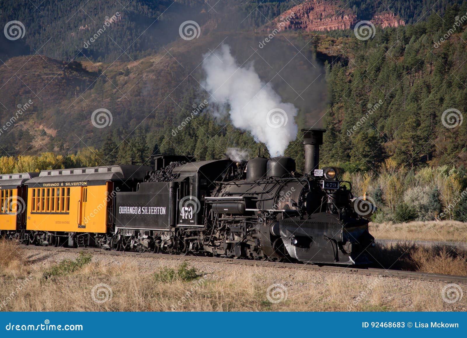 Durango Steam Train foto de archivo editorial. Imagen de afuera - 92468683