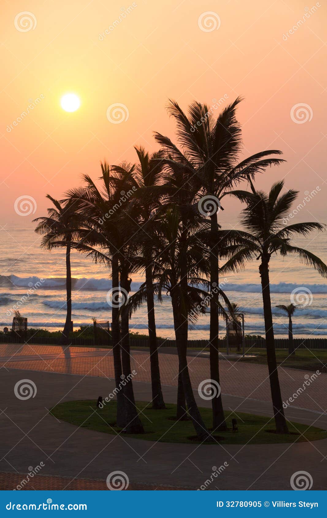 Durban palms stock image. Image of silhouette, palm, reflection - 32780905