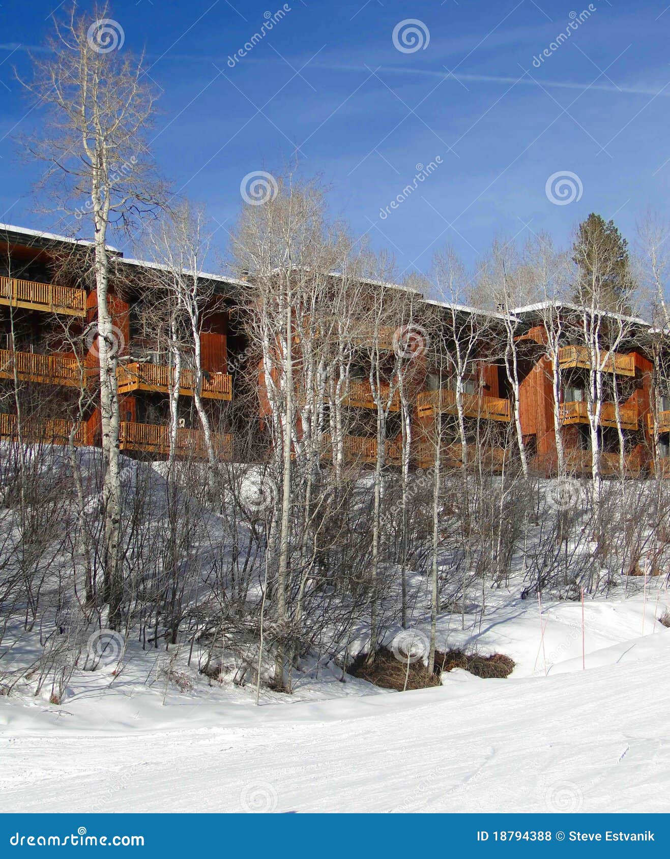 Dure huizen in de stad stock foto. Image of condominium - 18794388
