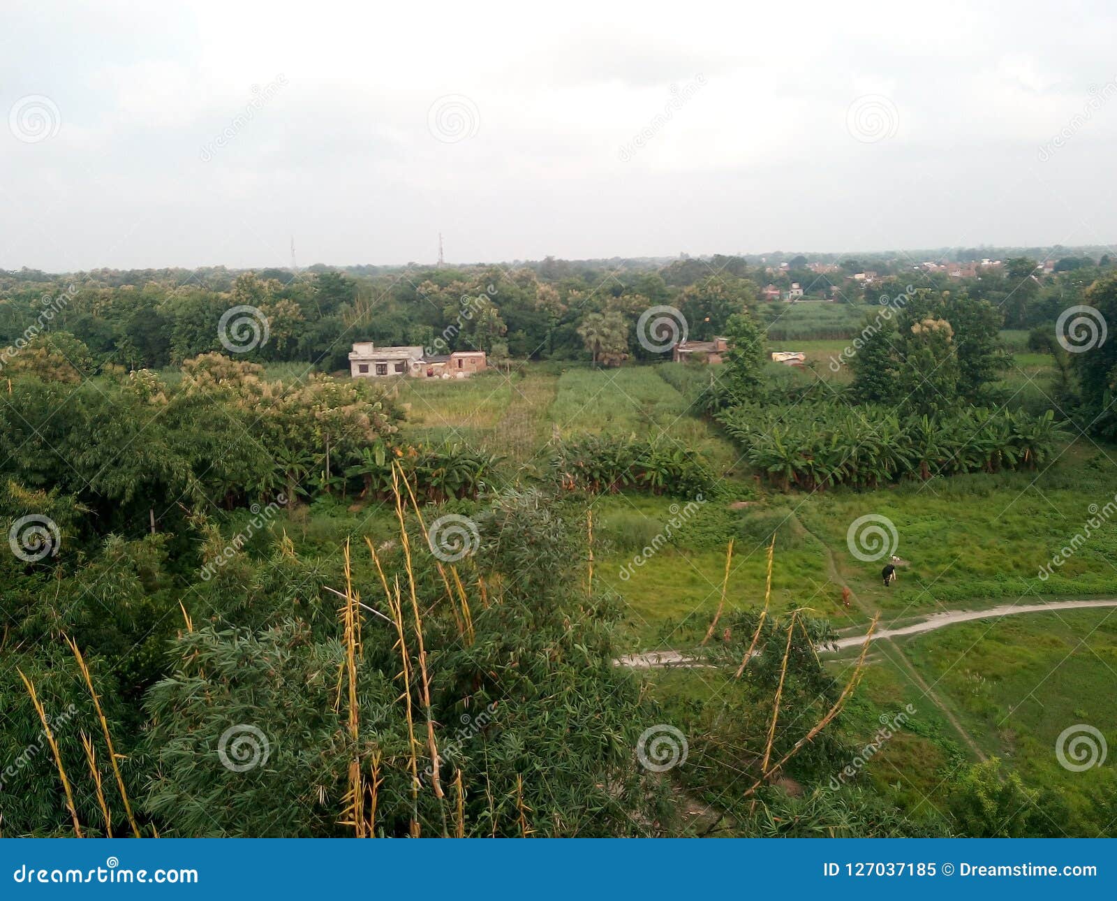 Durgesh stock image. Image of nice, good, durgesh, beautiful - 127037185