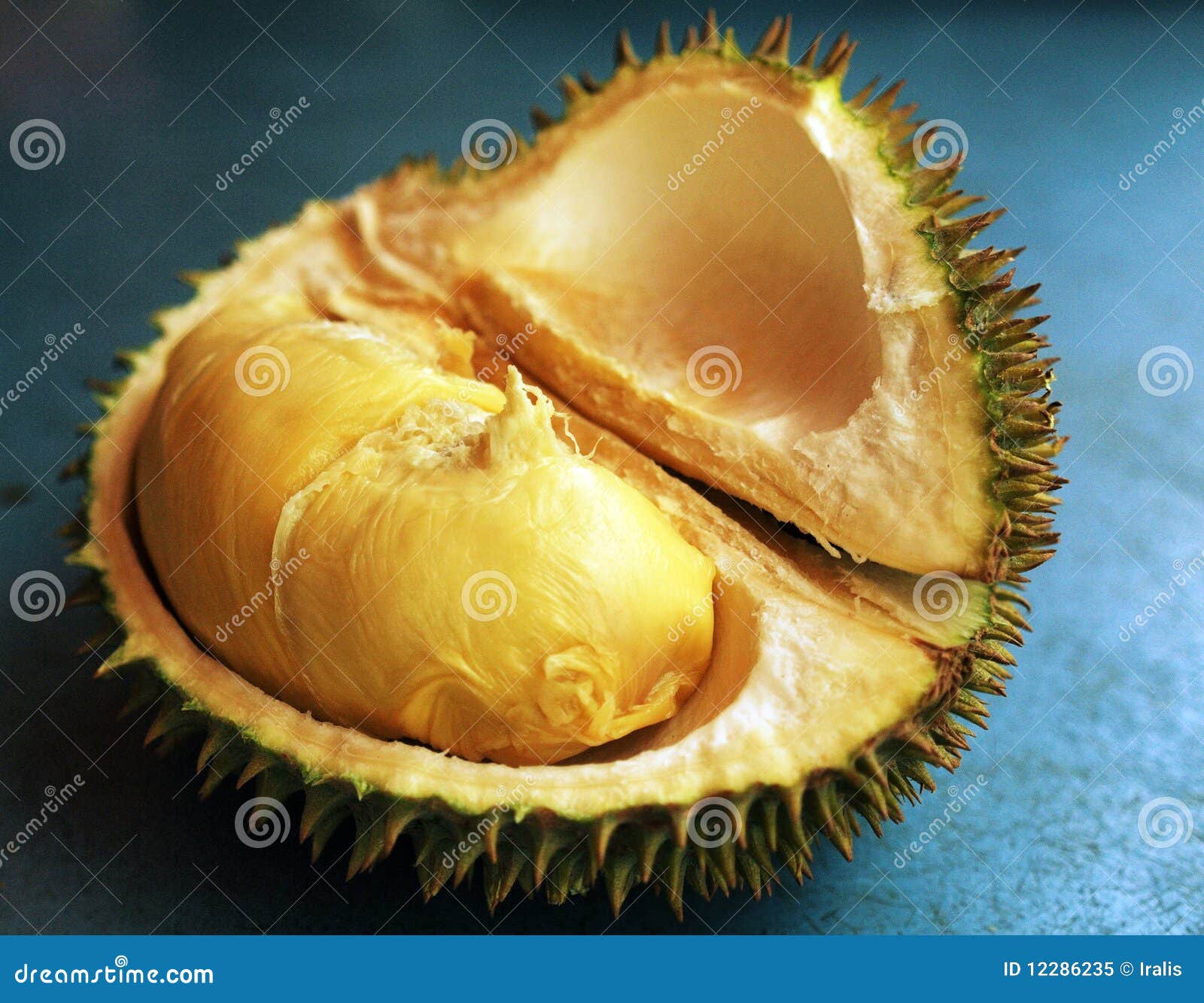 Durina Photos - Free & Royalty-Free Stock Photos from Dreamstime