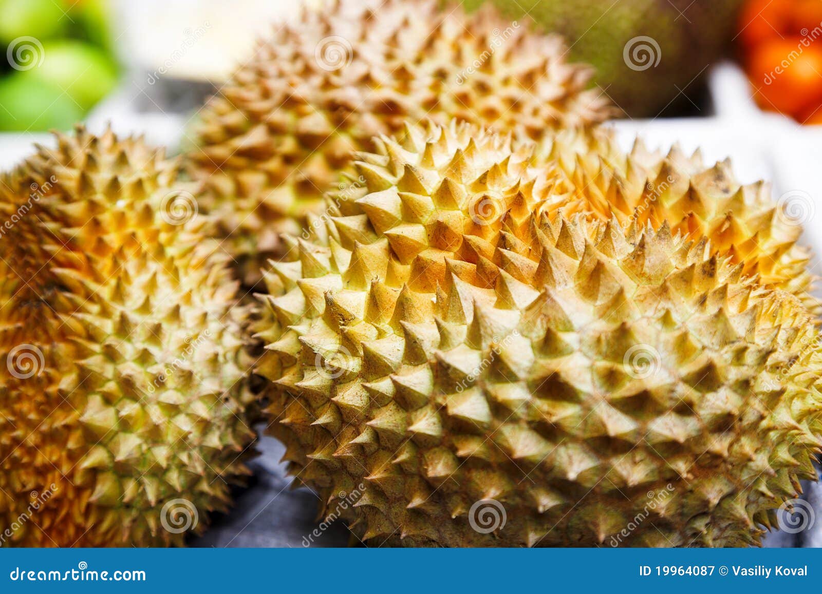 Durian stock image. Image of spike, spiked, sharp, stall - 19964087