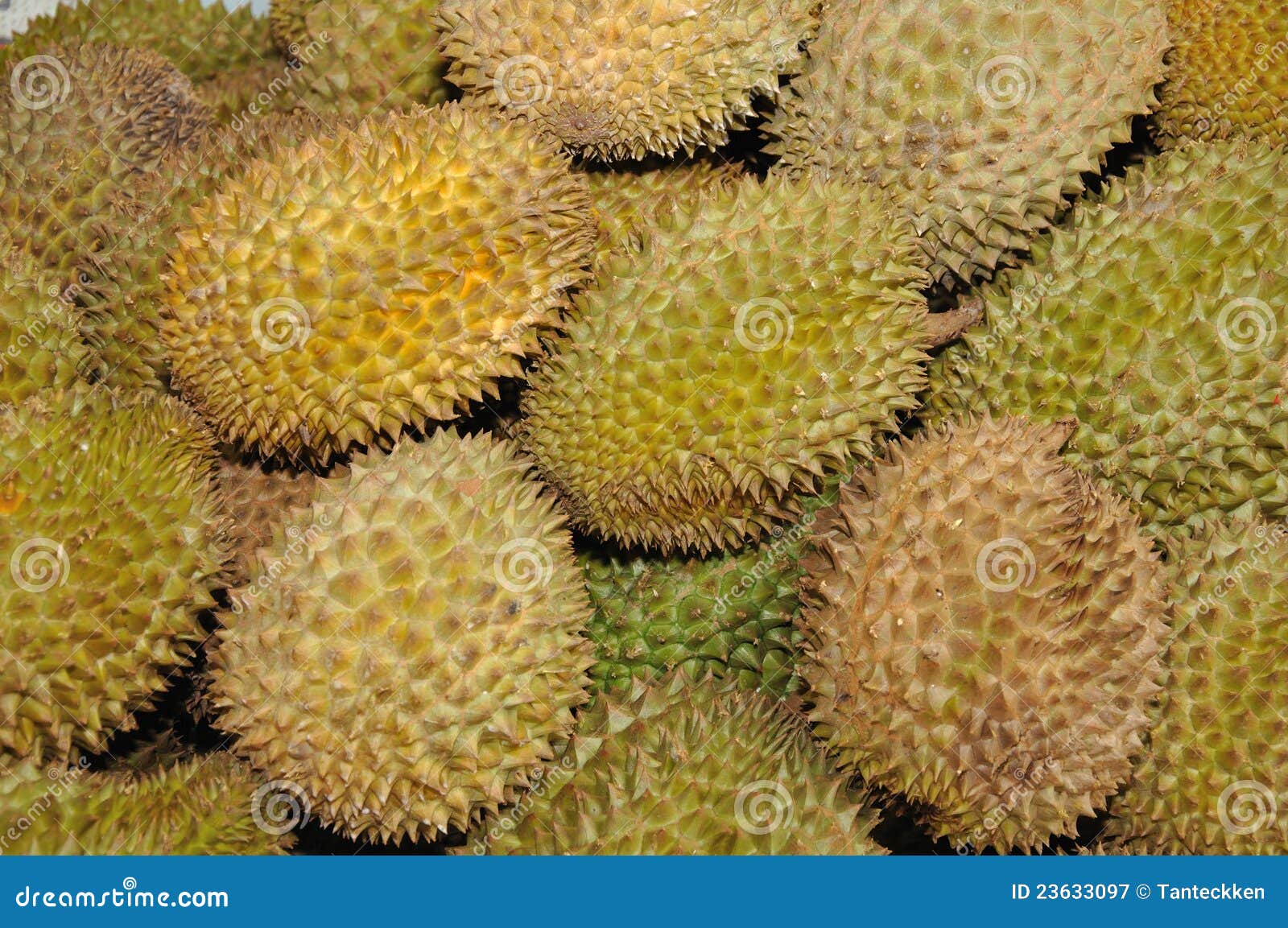 Durian Background stock image. Image of green, gourmet - 23633097