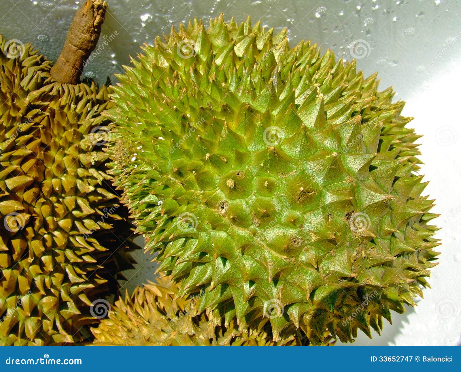 Durian stock image. Image of thorns, flavour, durian - 33652747