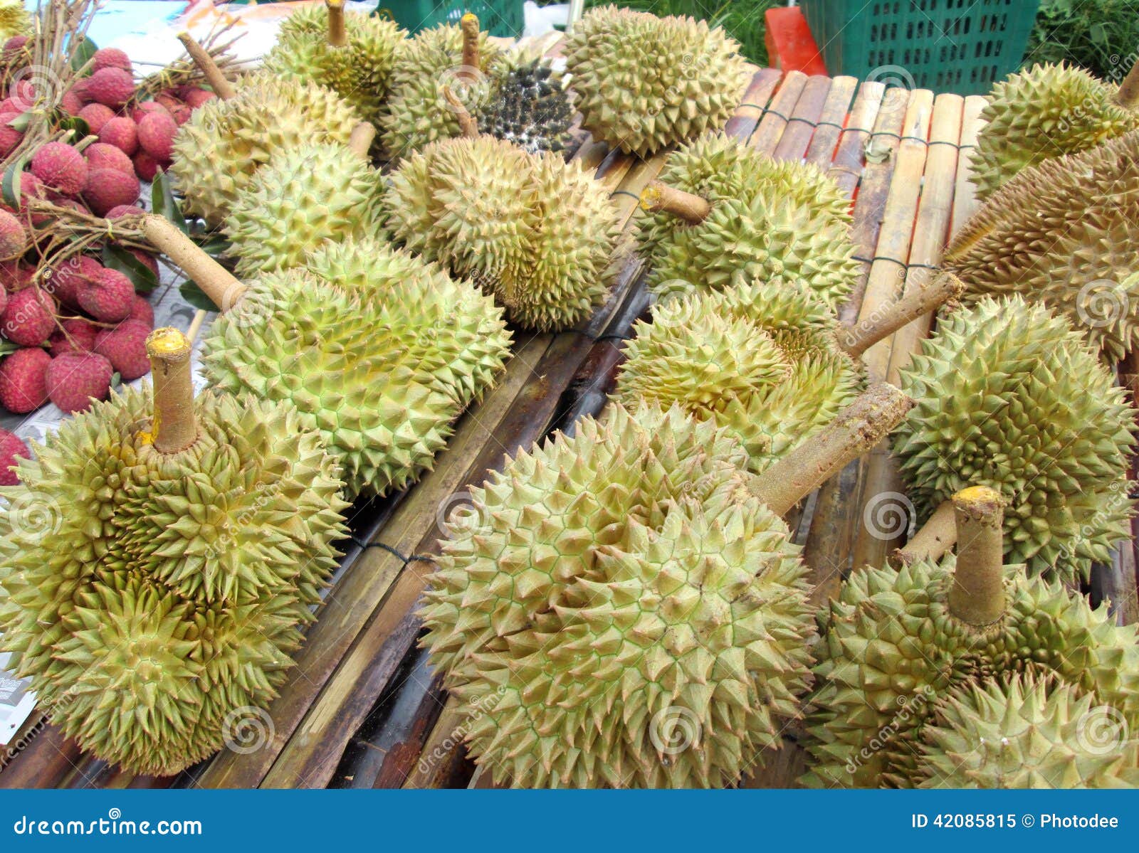 Durian. stock image. Image of sharp, durian, piece, peeled - 42085815