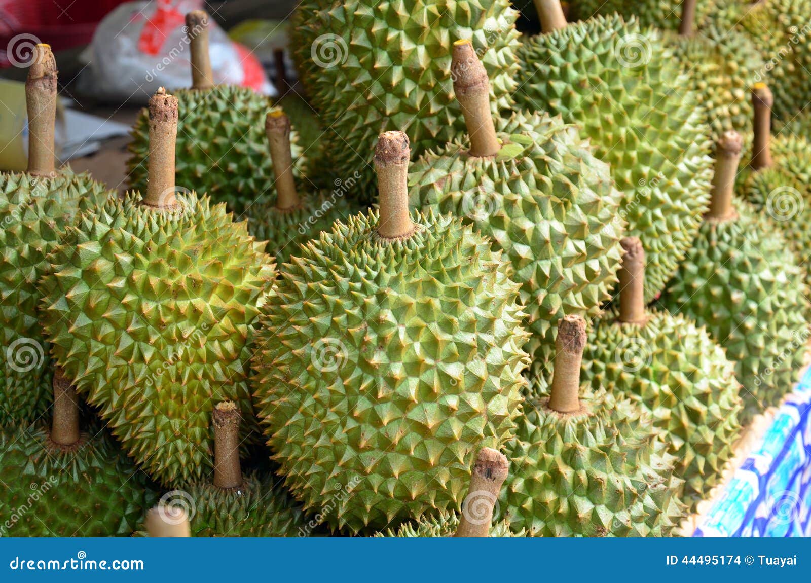 Durian Como El Rey De Frutas Foto de archivo - Imagen de agricultura ...