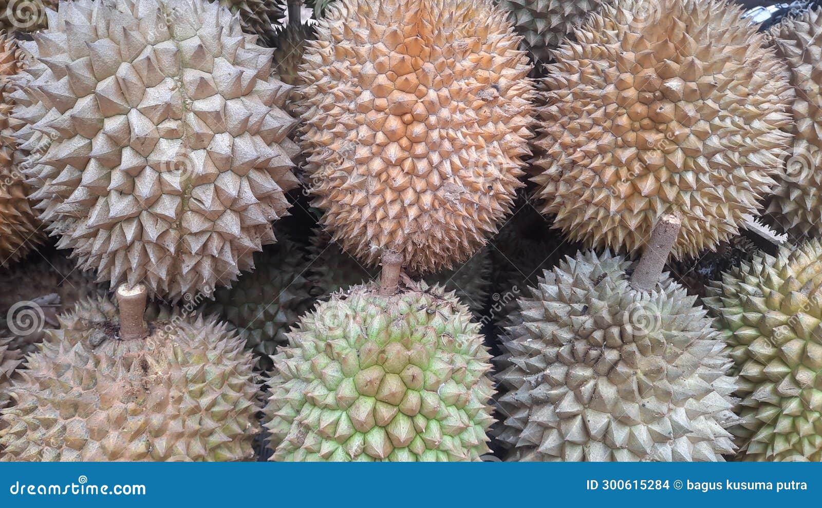 Durian is Delicious and Rich in Vitamins Stock Photo - Image of green ...