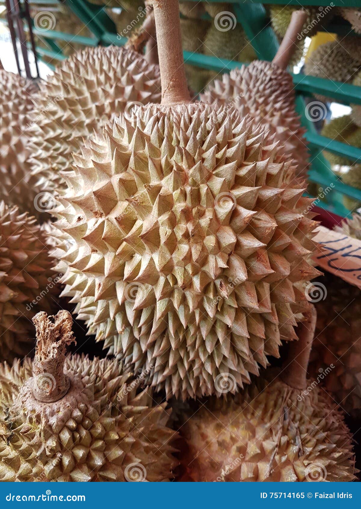 Durian Display at Hawker Street Editorial Image - Image of hawker ...