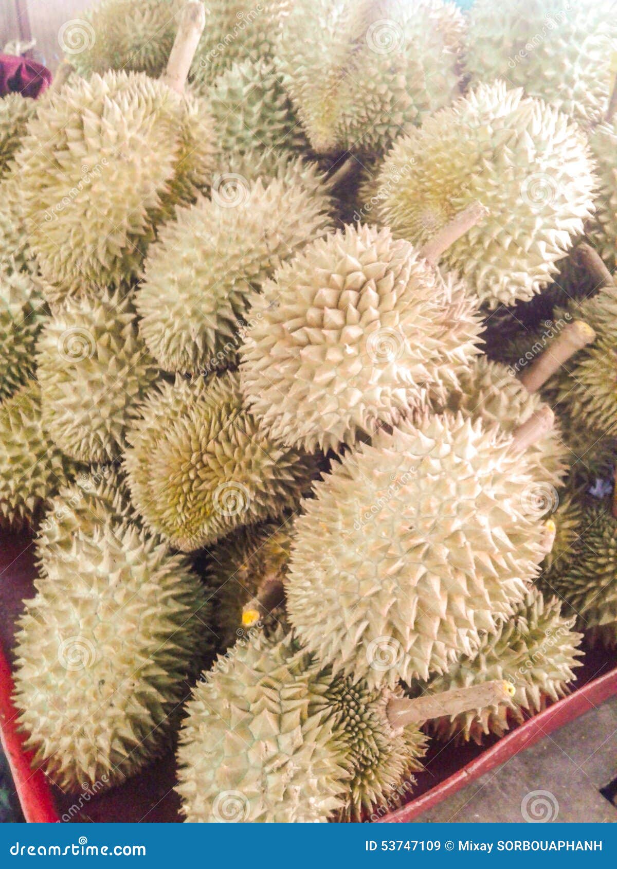 Durian stock image. Image of durians, durian, asiafruits - 53747109