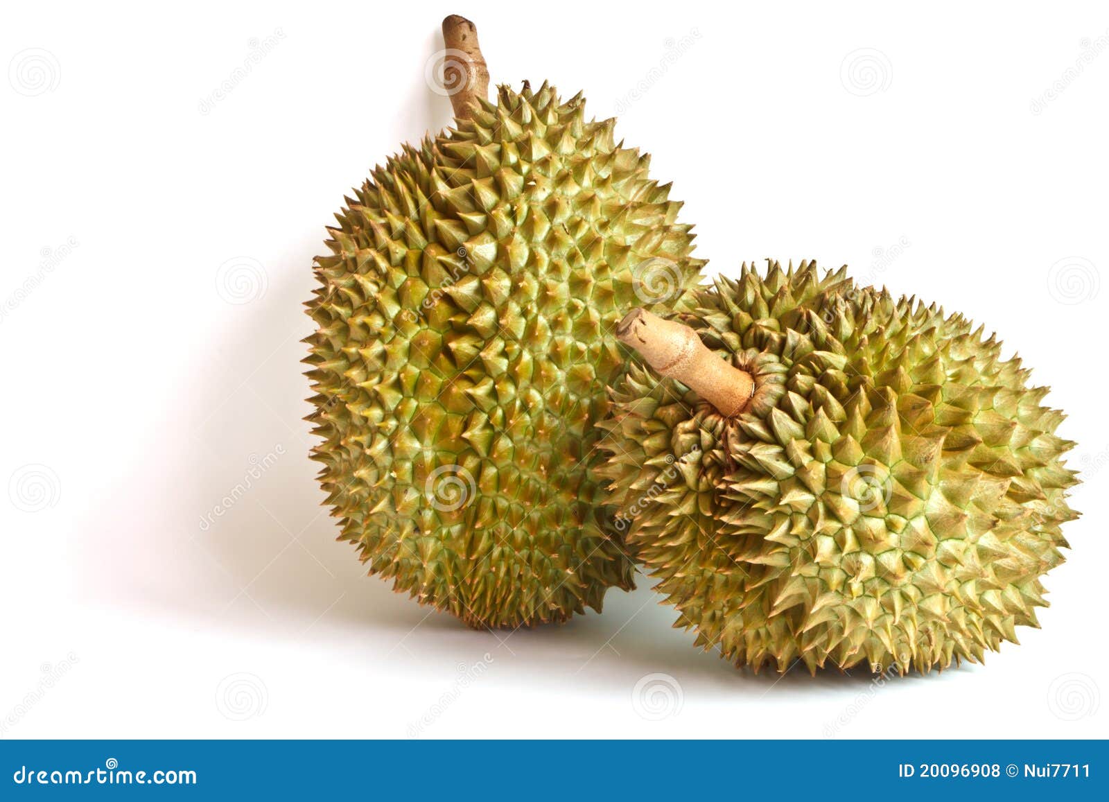 Durian, el rey de la fruta foto de archivo. Imagen de punto - 20096908