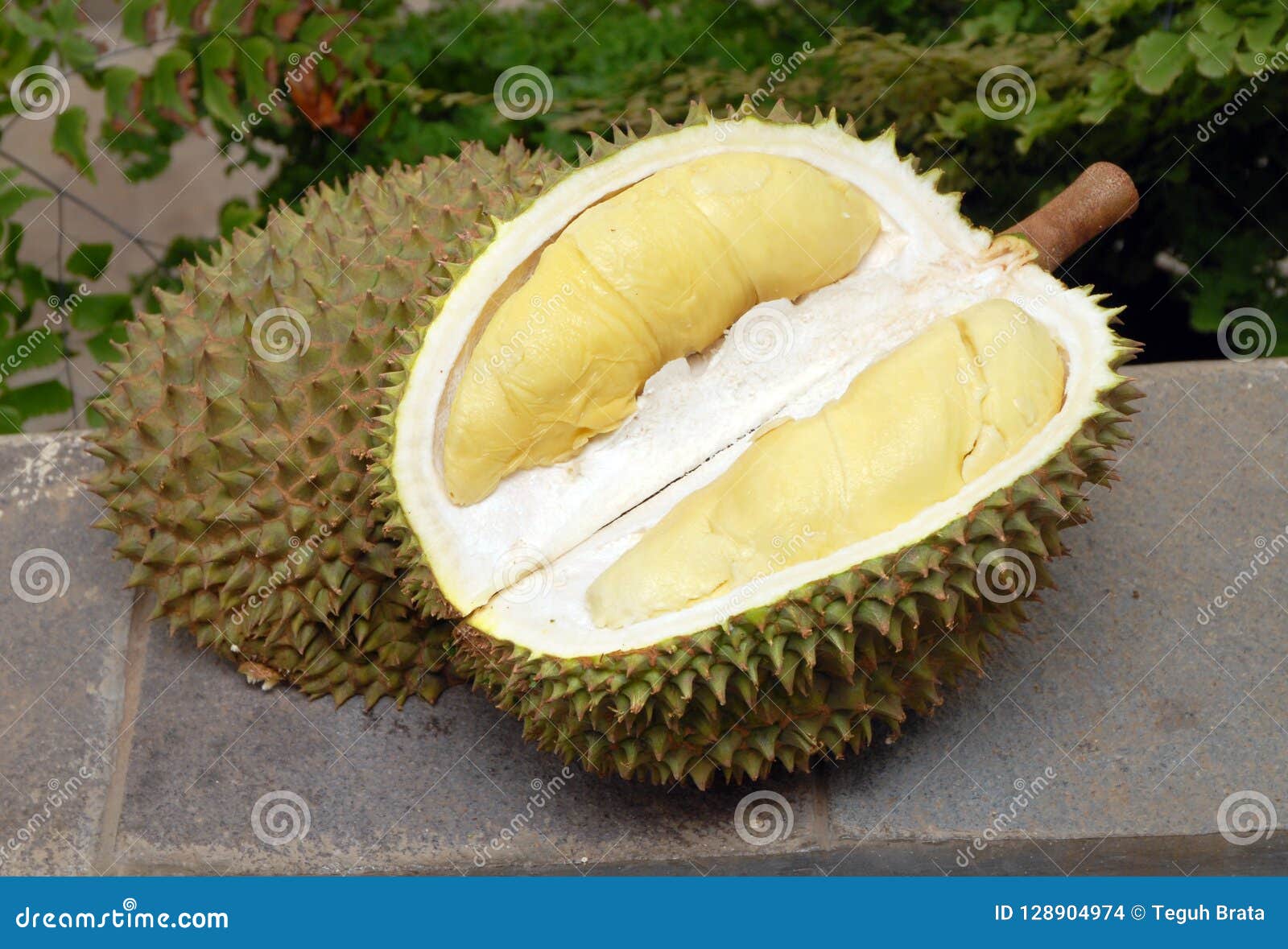 Durian El Rey De La Fruta Tropical Foto de archivo - Imagen de tropical ...