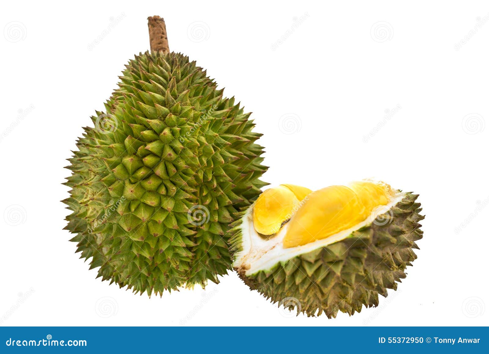 20,732 Durian Picture Stock Photos - Free & Royalty-Free Stock Photos ...