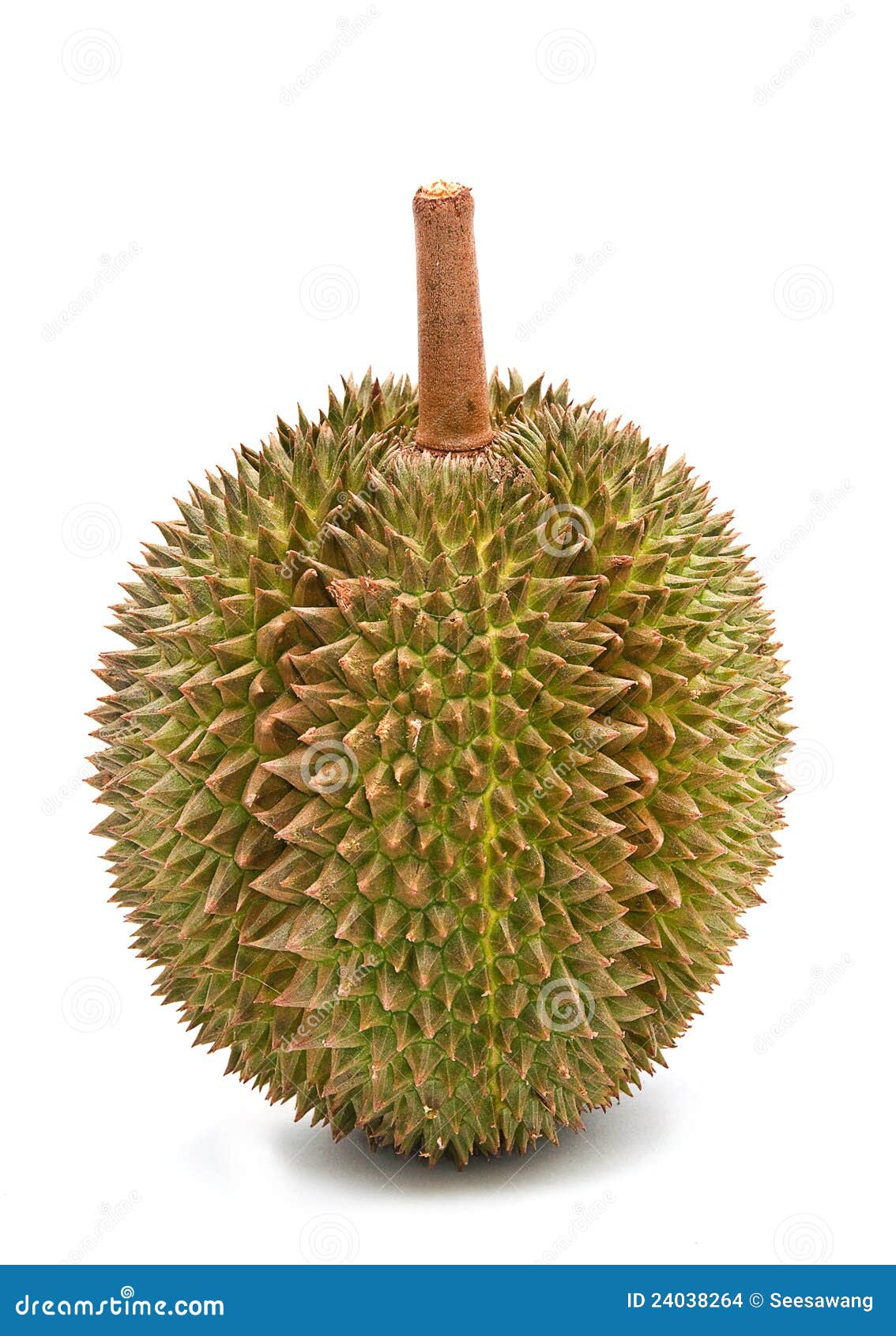 DURIAN FRUIT stock photo. Image of southeast, shell, fresh - 24038264