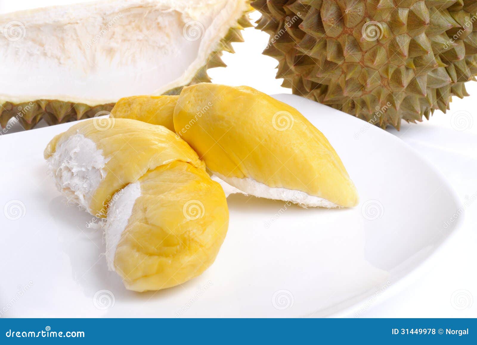 Durian fruit stock photo. Image of thorn, thai, food - 31449978