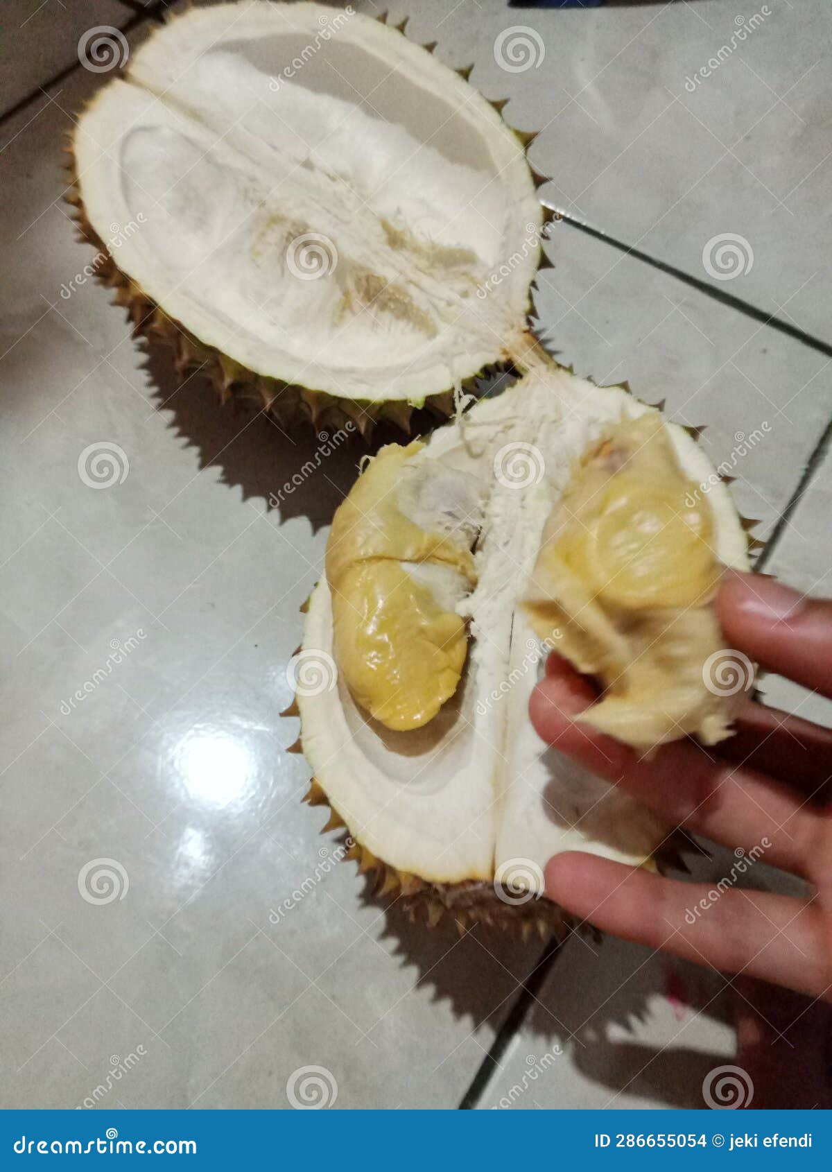 Durian fruit delicious stock photo. Image of fruit, delicious - 286655054