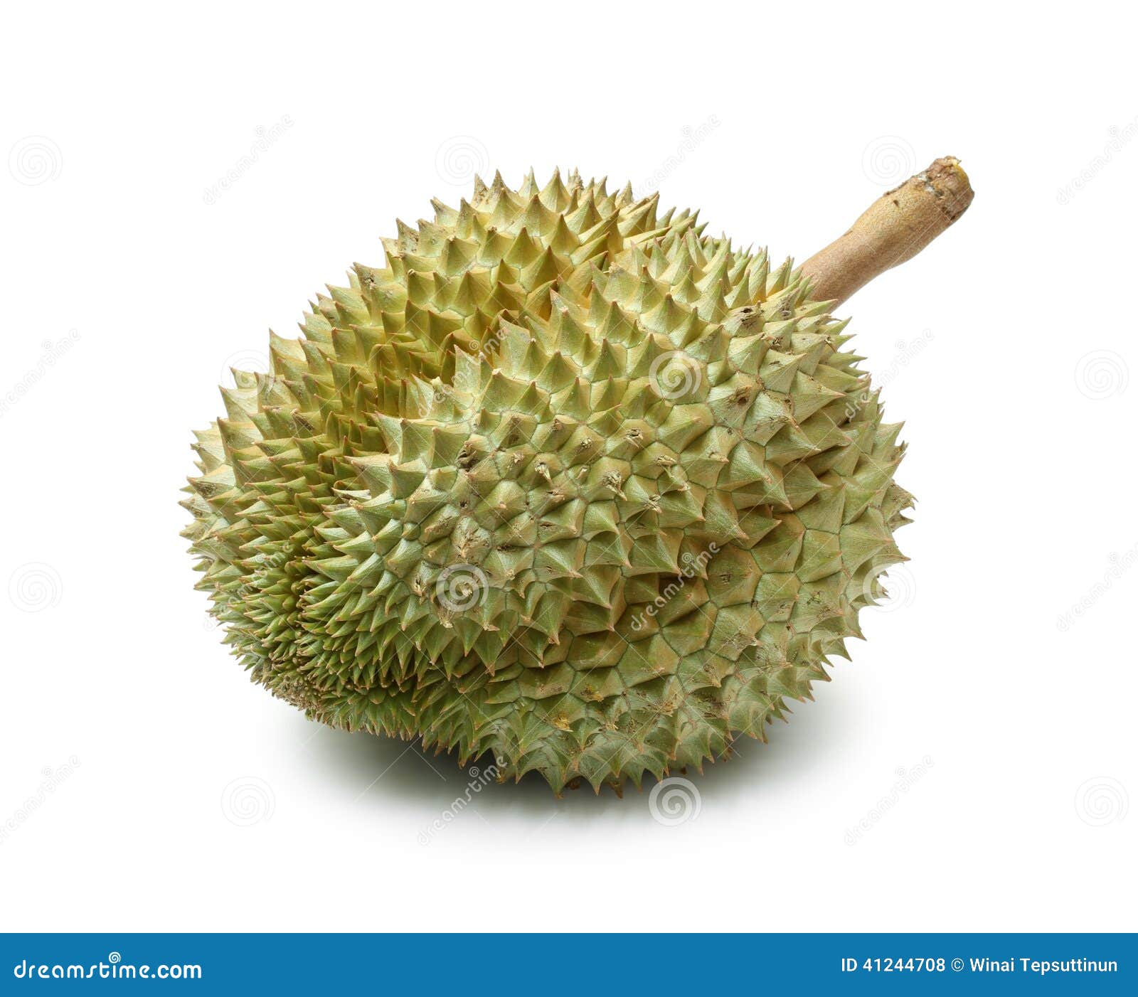 Durian fruit stock photo. Image of exotic, sharp, background - 41244708
