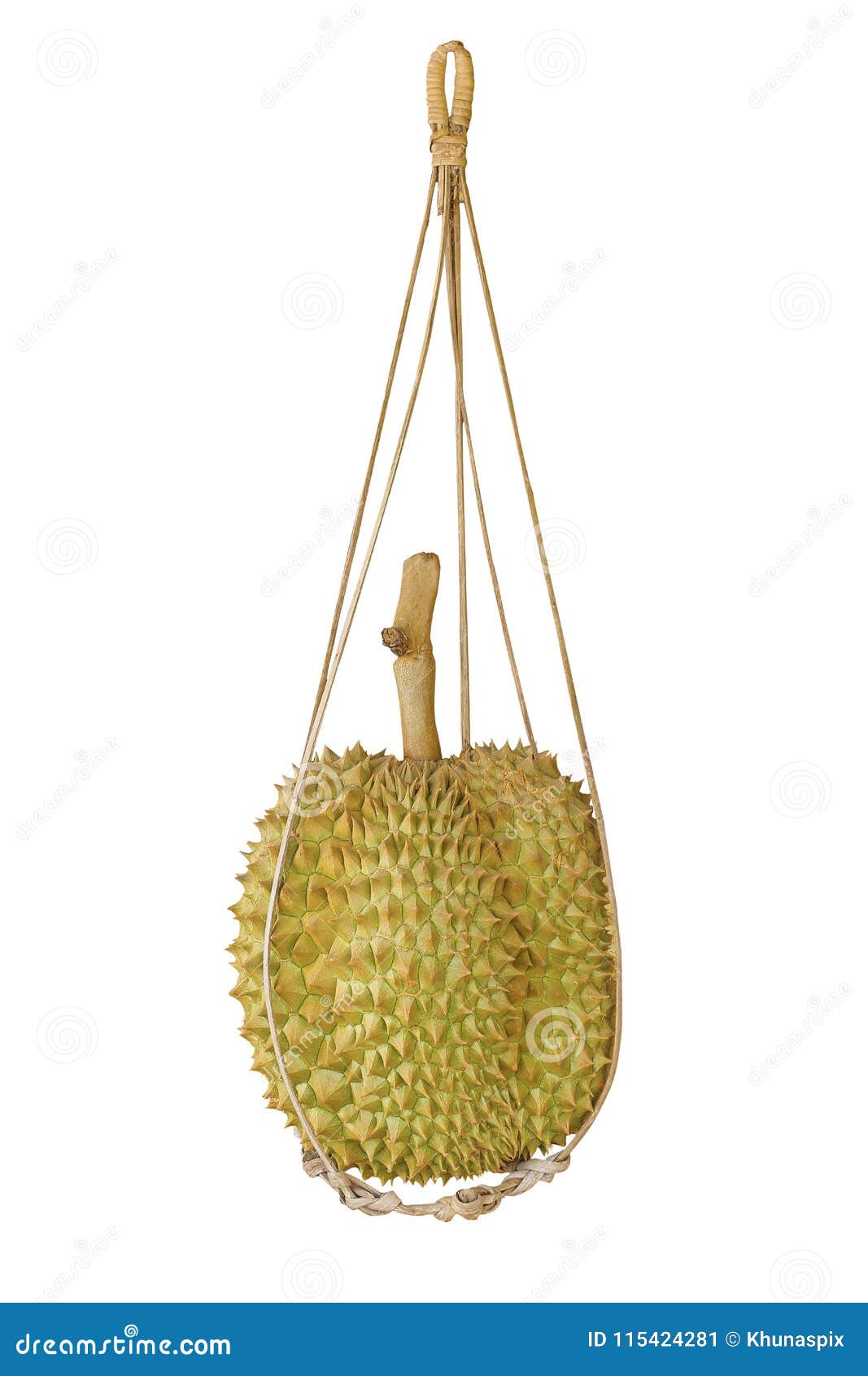 Durian Fruit Hanging in Bamboo Basket Isolate White Background Stock ...