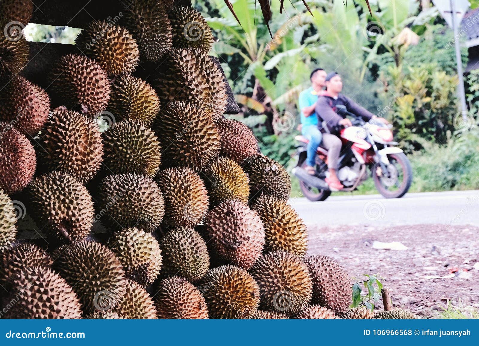 Durian stock photo. Image of jakarta, medan, fruit, indonesia - 106966568