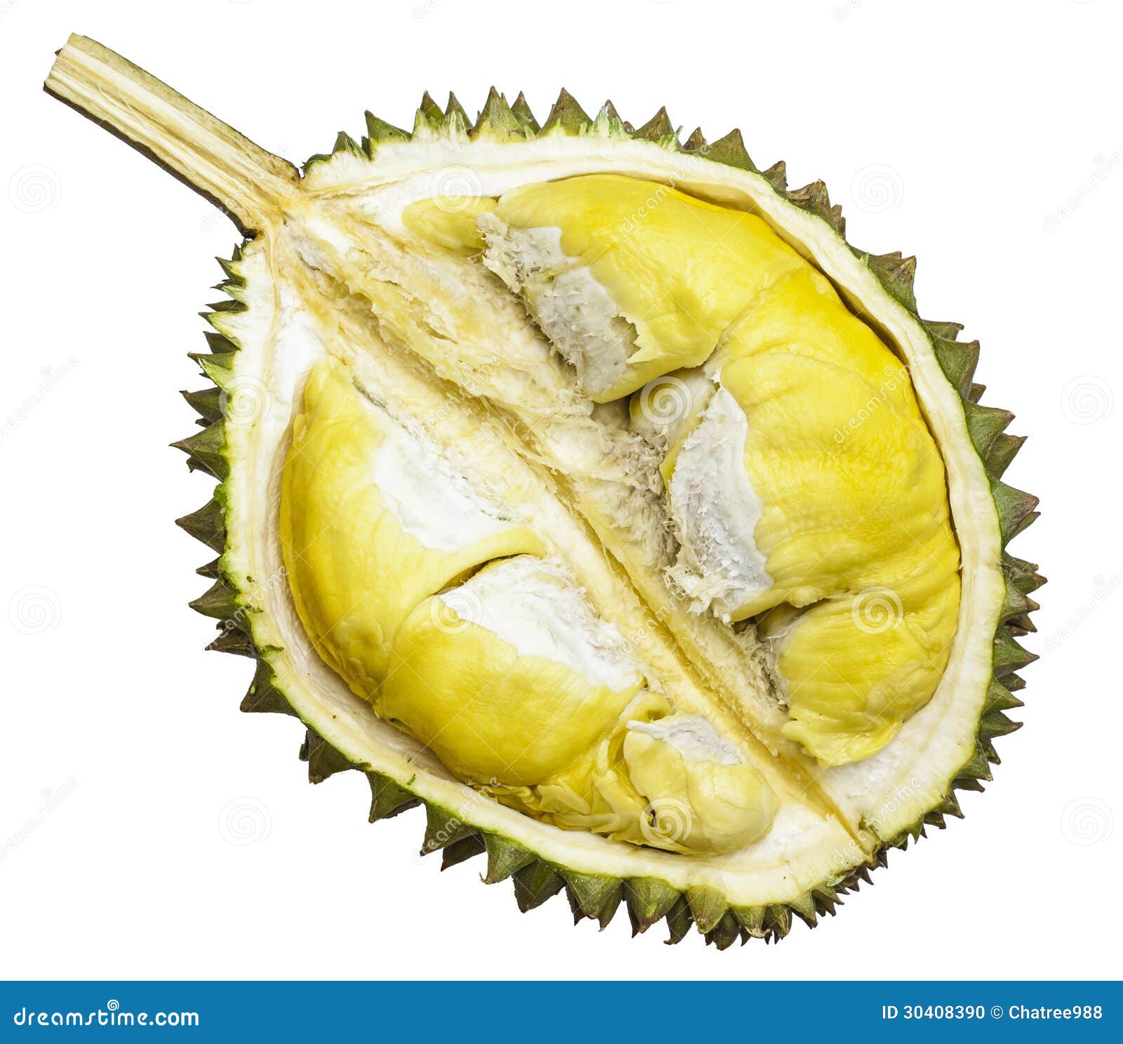 Durian fruit stock photo. Image of fruit, tropical, inside - 30408390