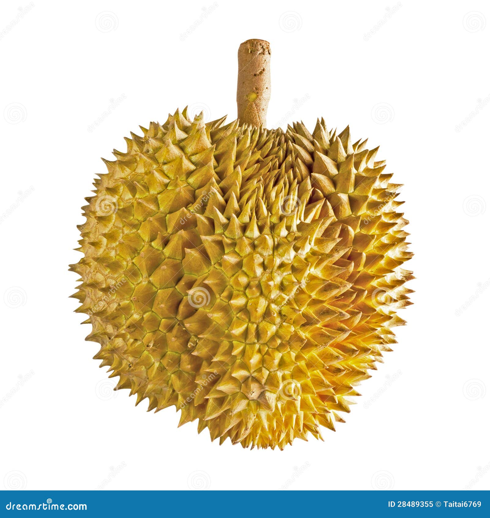 A Durian Fruit Isolate on White Stock Image - Image of thailand, diet ...