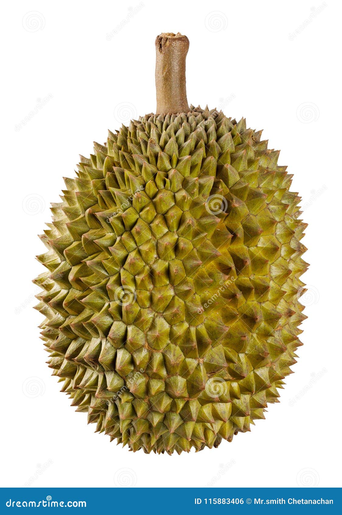 Durian Fruit Isolated on White Stock Photo - Image of montong, gourmet ...