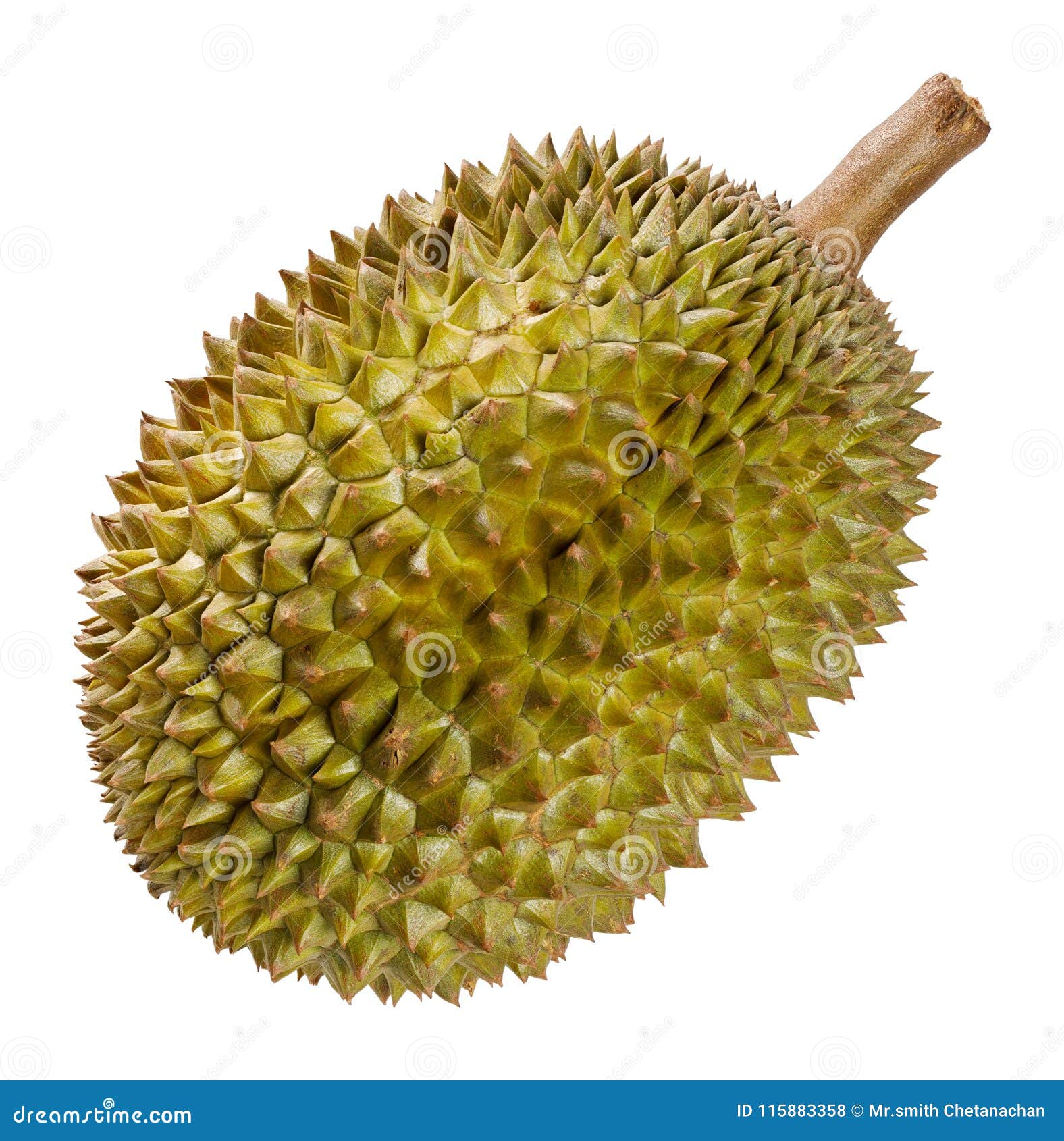 Durian Fruit Isolated on White Stock Photo - Image of gourmet, food ...