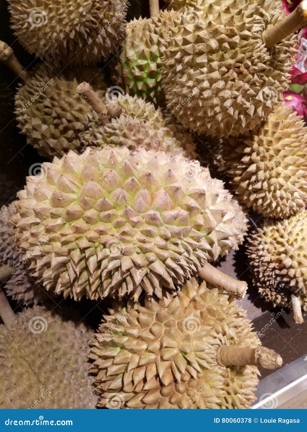 Durian Fruit stock photo. Image of philippines, native - 80060378
