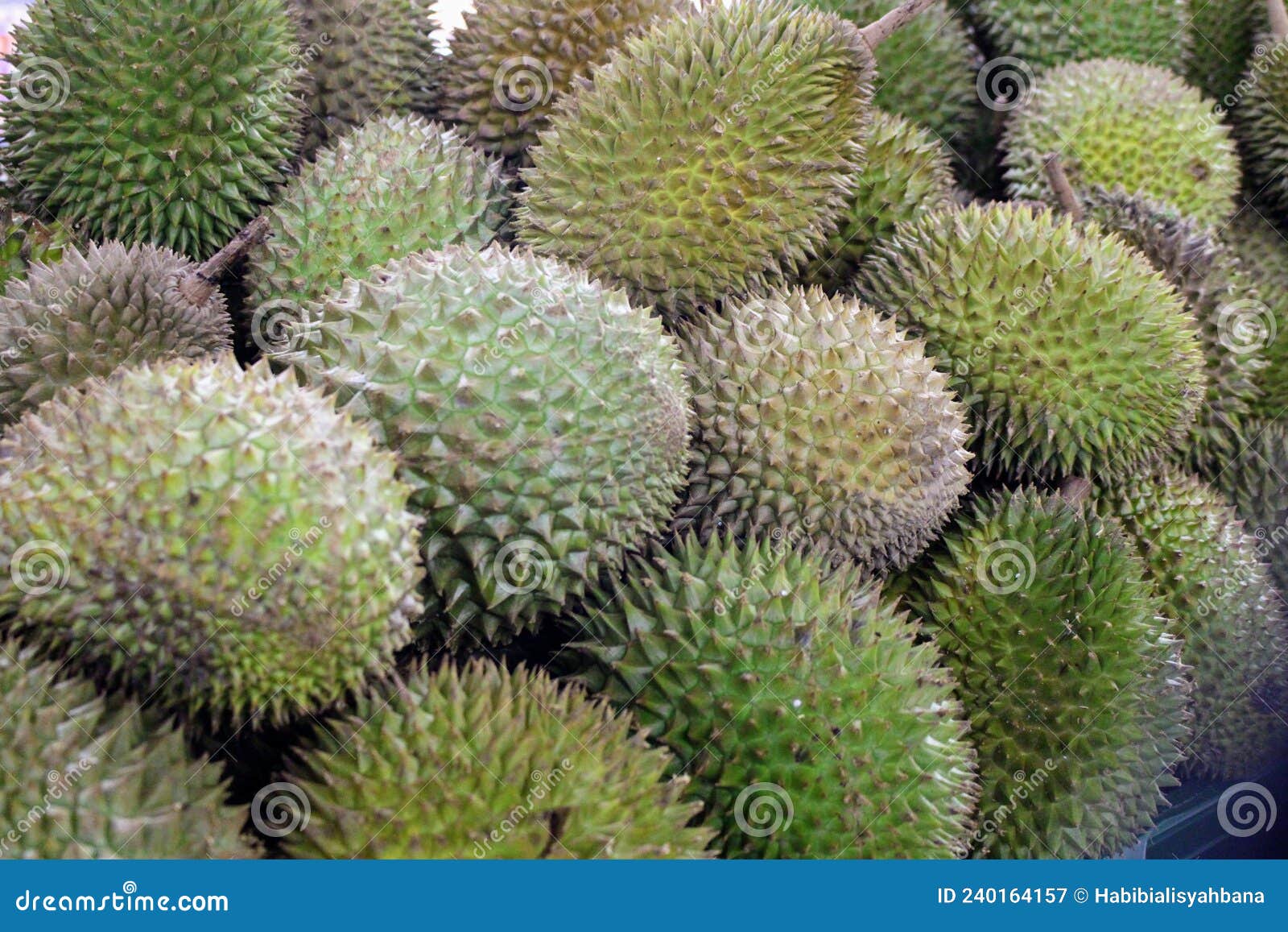 Durian Fruit Natural Abstract Background Stock Image - Image of branch ...