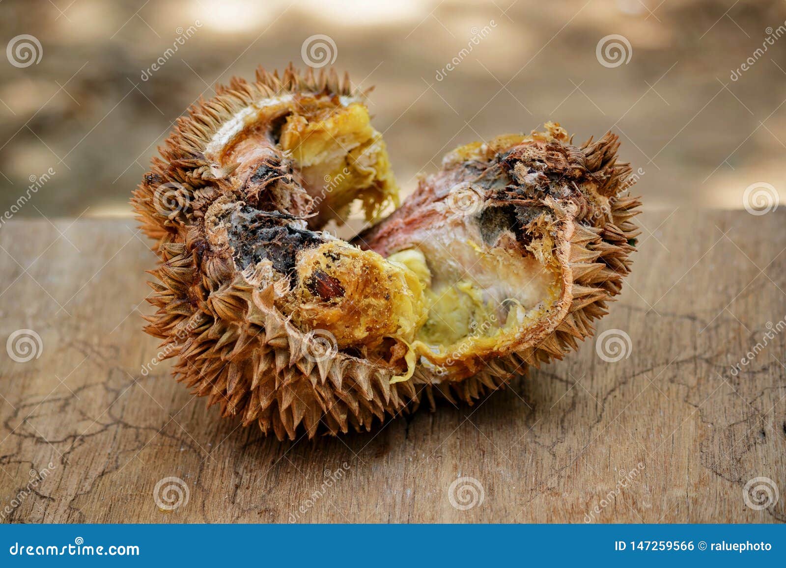 Durian And Rotten Durian Royalty-Free Stock Image | CartoonDealer.com ...