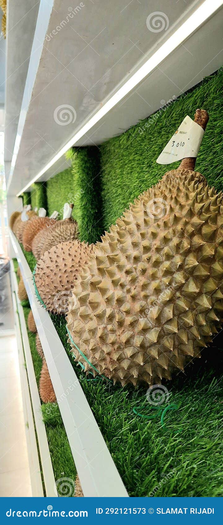 DURIAN FRUIT SELL on the RACK Stock Image - Image of sell, durian ...