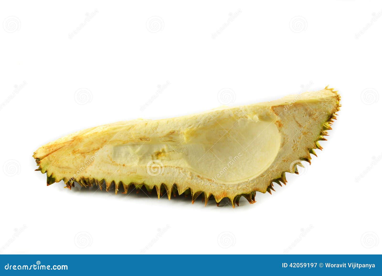 Durian fruit shell stock image. Image of isolated, background - 42059197