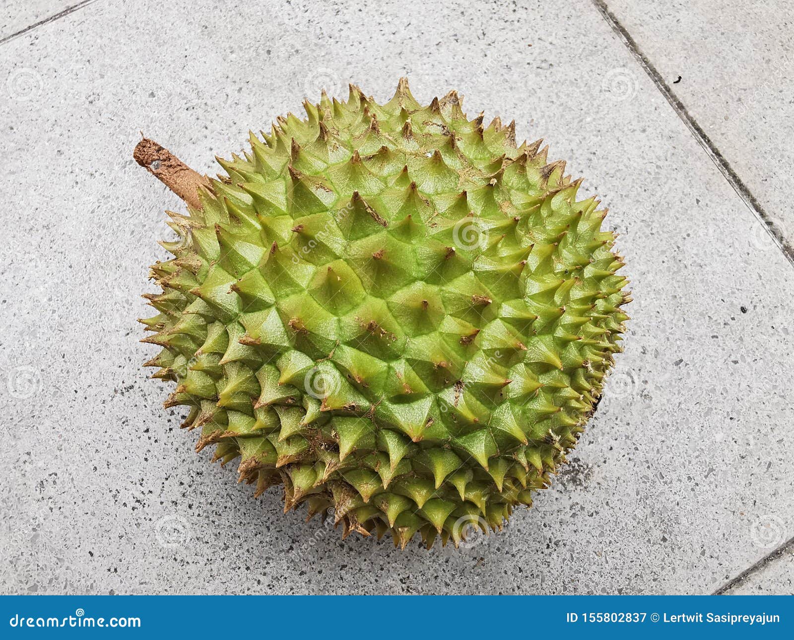 Durian Fruit, a Thorny Fruit with Strong Order Stock Image - Image of ...
