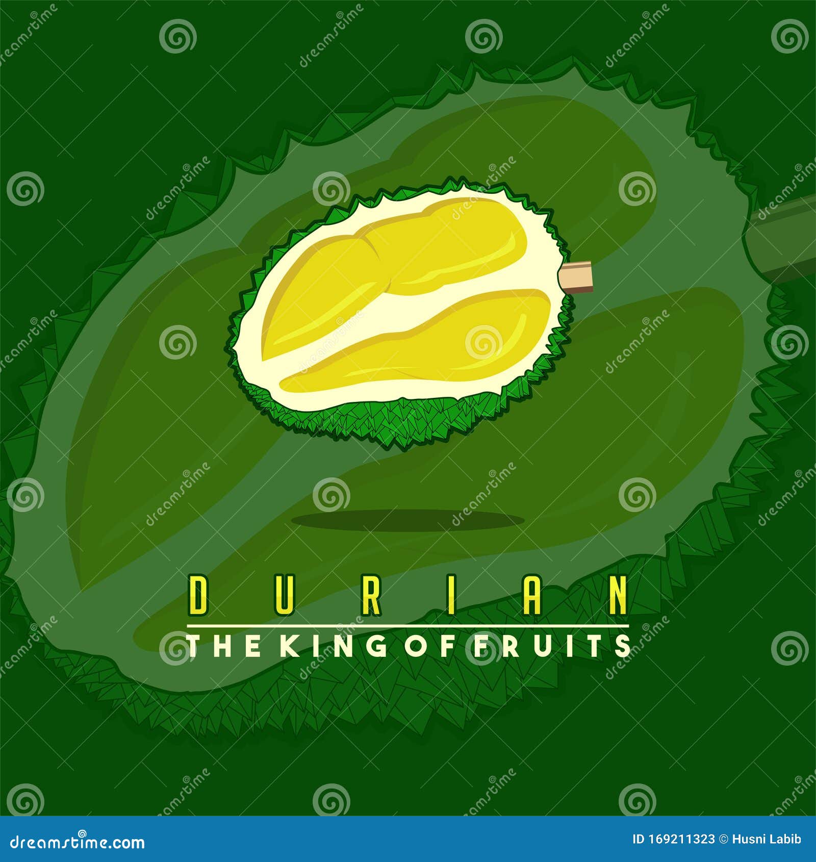Durian Fruit Vector Illustration Stock Vector - Illustration of graphic ...