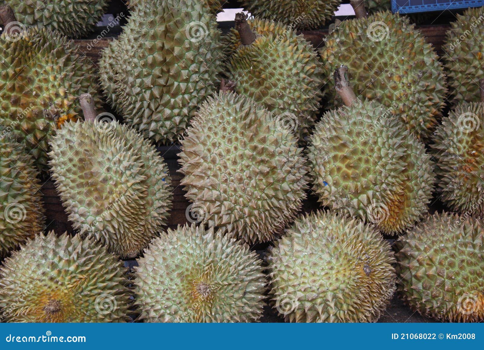 Durian Fruits stock photo. Image of thorns, delicacy - 21068022