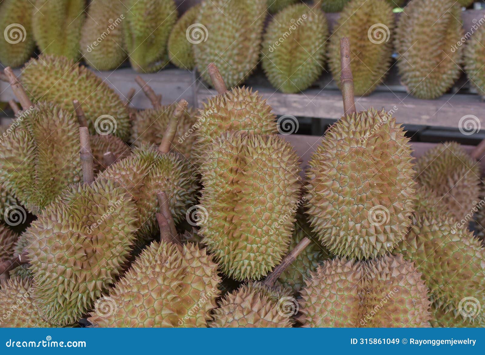 A Stack Of Durian Monthong. Stock Image | CartoonDealer.com #123668347