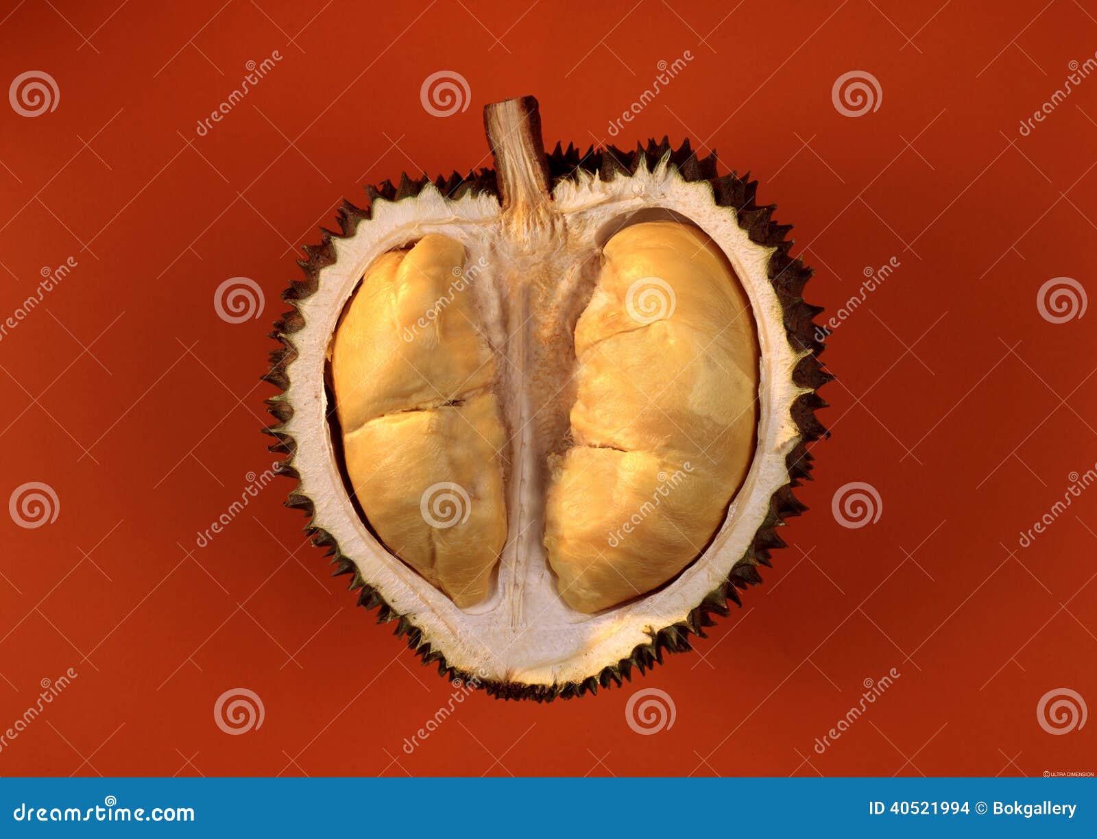 Durian, Fruta Del Rey De Malasia Foto de archivo - Imagen de espina ...