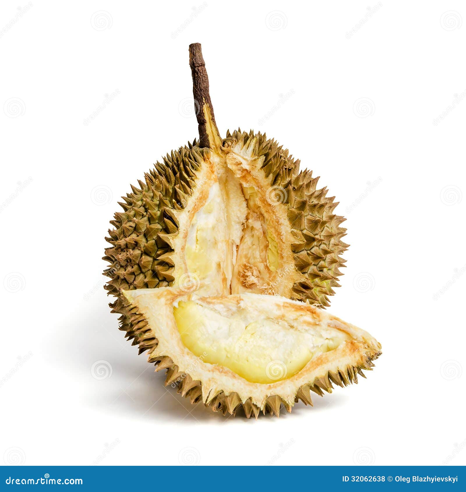 Durian. Giant Tropical Fruit. Stock Photography | CartoonDealer.com ...