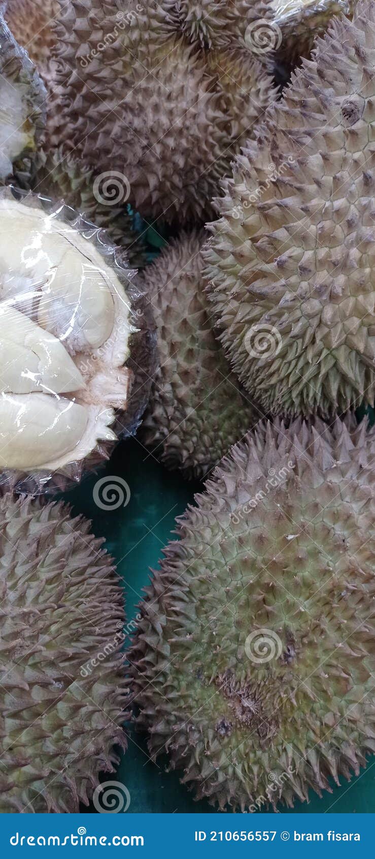 Durian indonesian fruit stock image. Image of fruit - 210656557