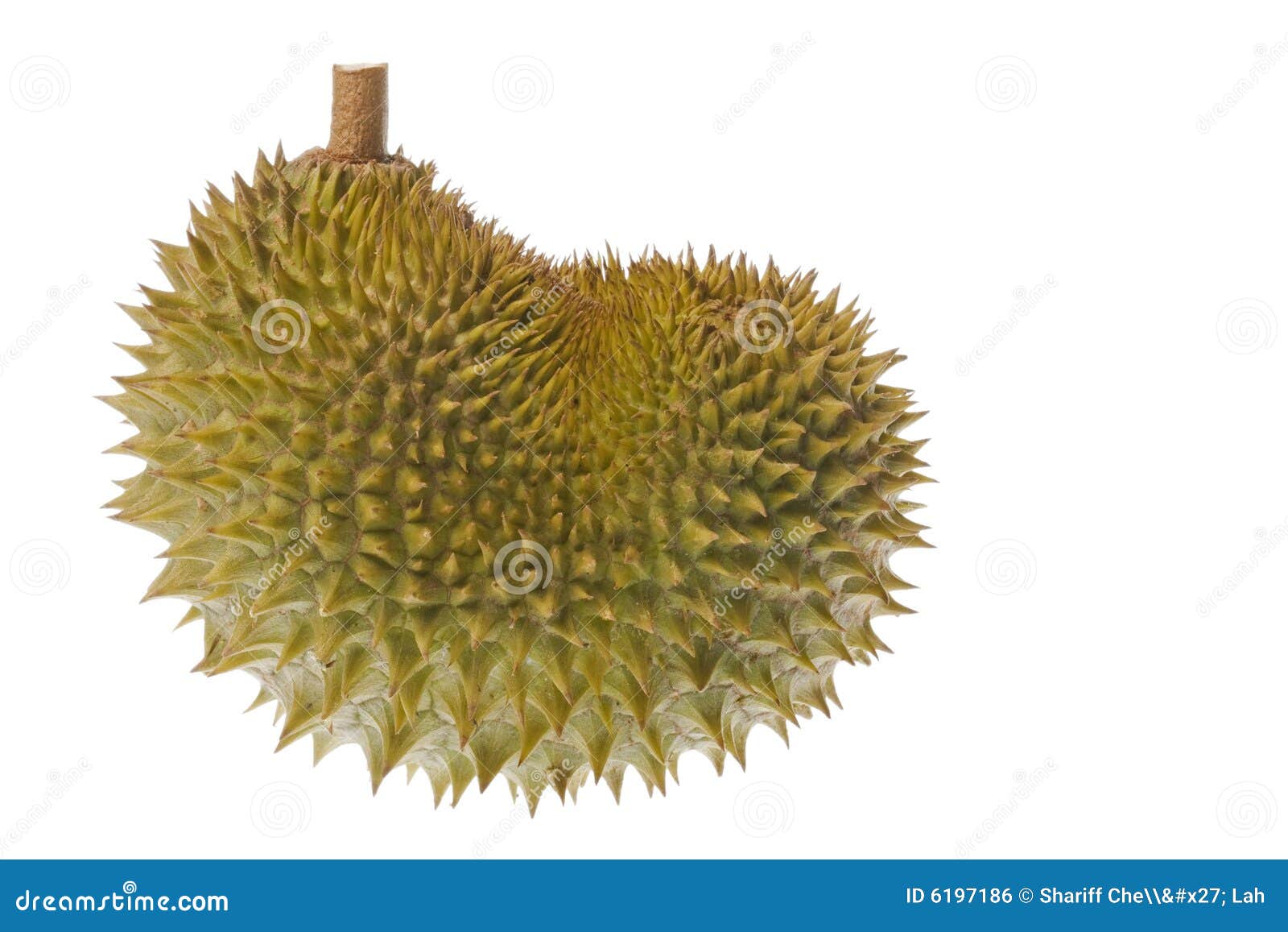 Durian Isolated stock photo. Image of delicacy, nature - 6197186