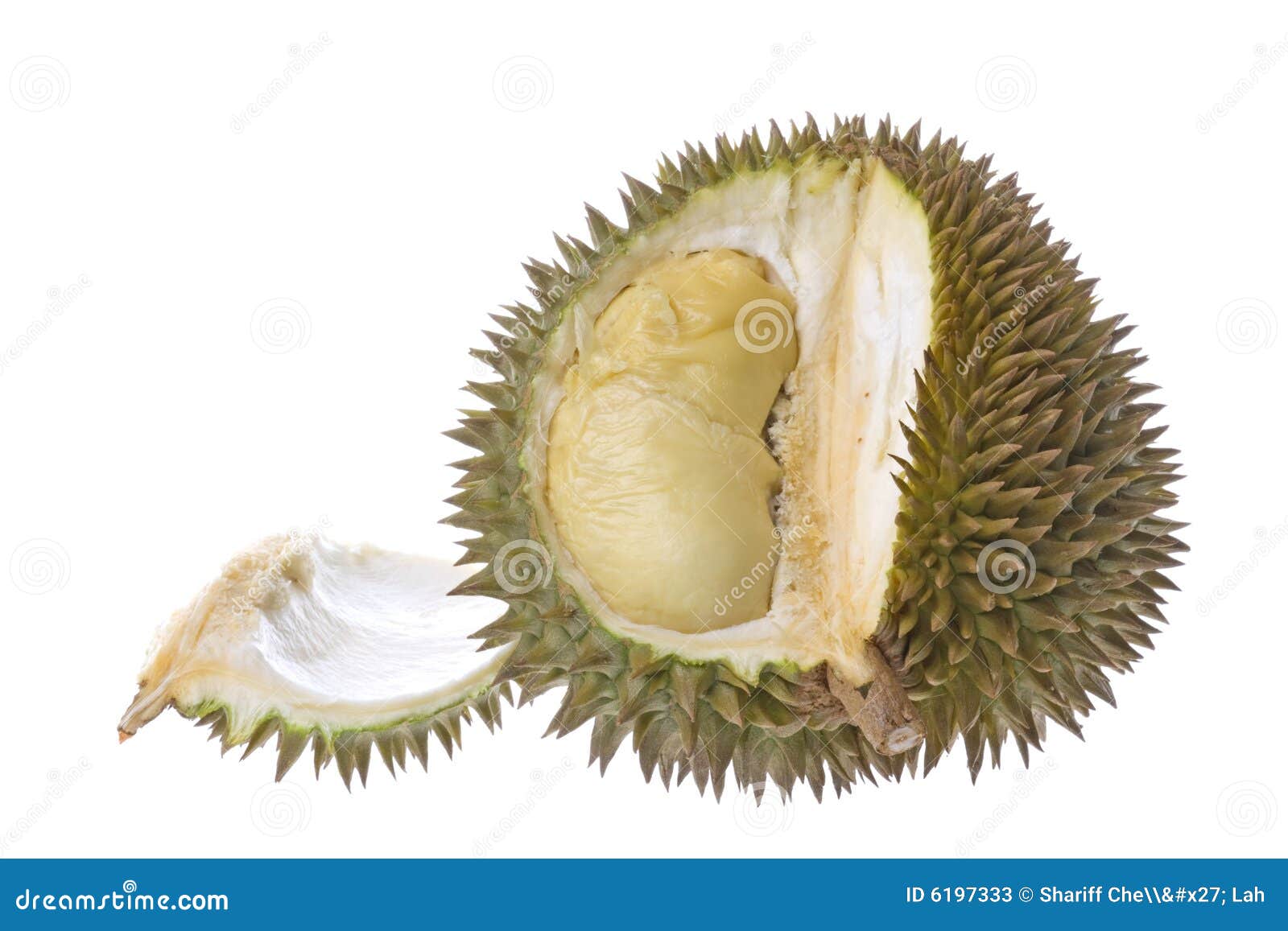 Durian Isolated stock image. Image of malaysia, nature - 6197333