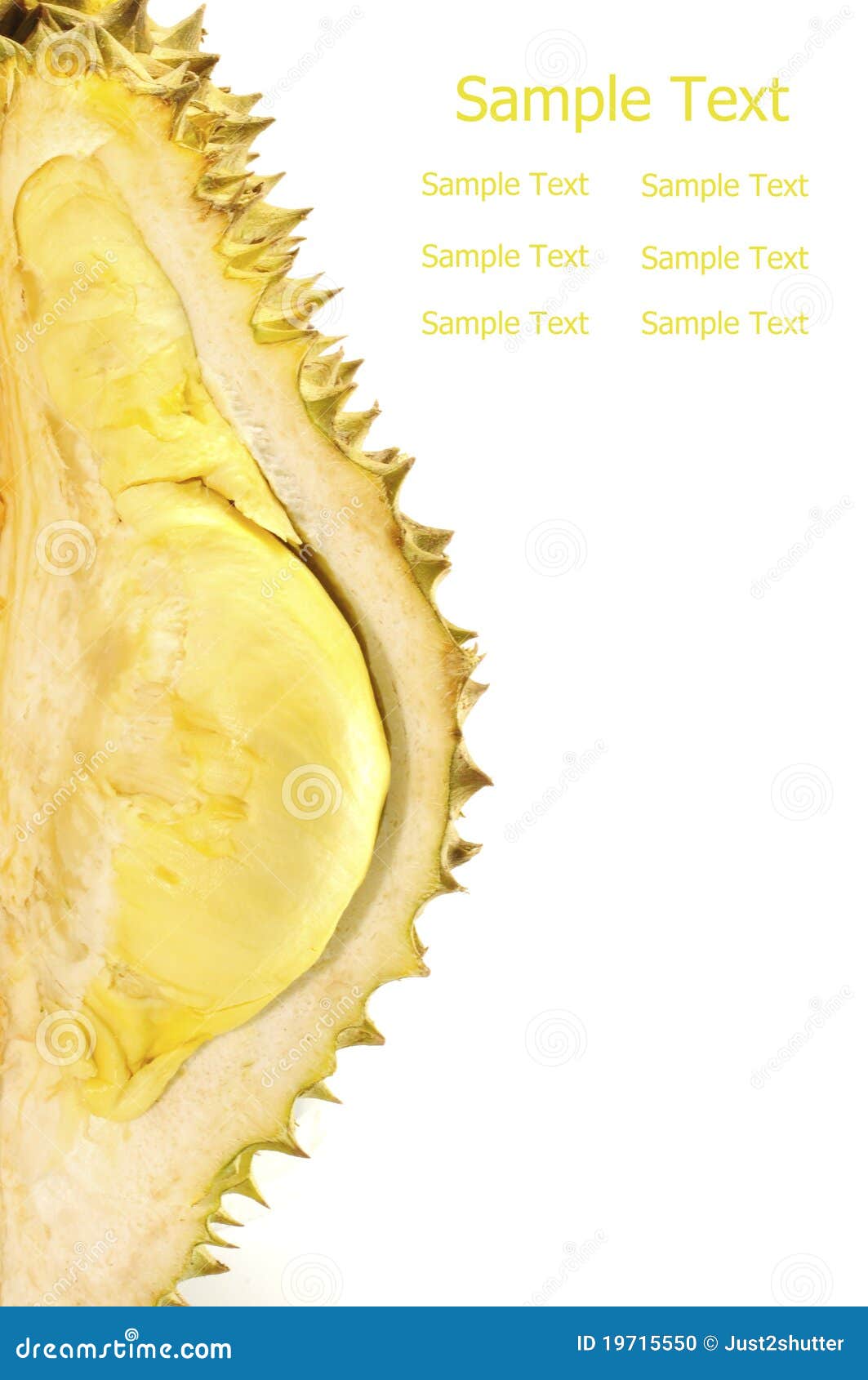 Durian isolated on white stock photo. Image of exotic - 19715550
