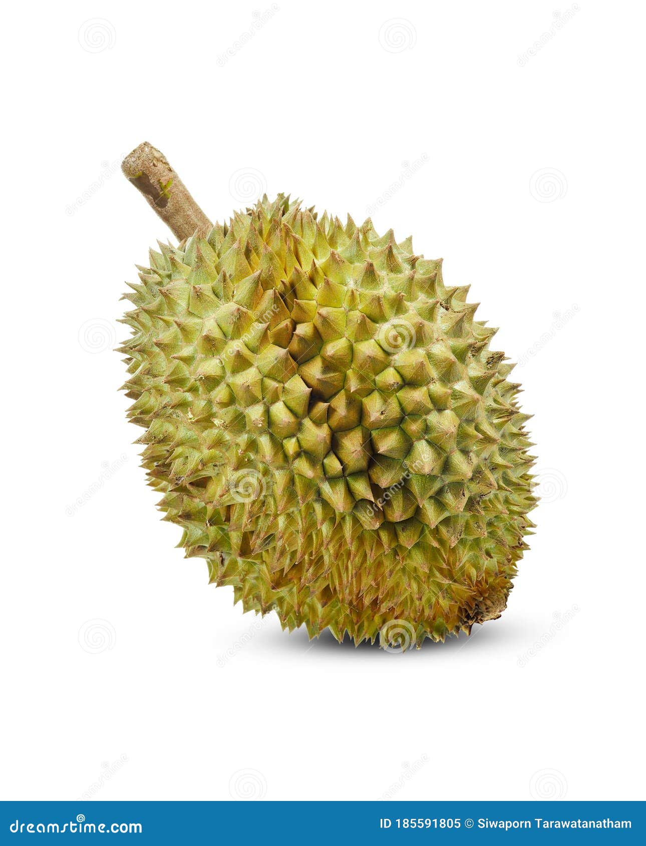 Durian Isolated on White Background Stock Image - Image of taste ...
